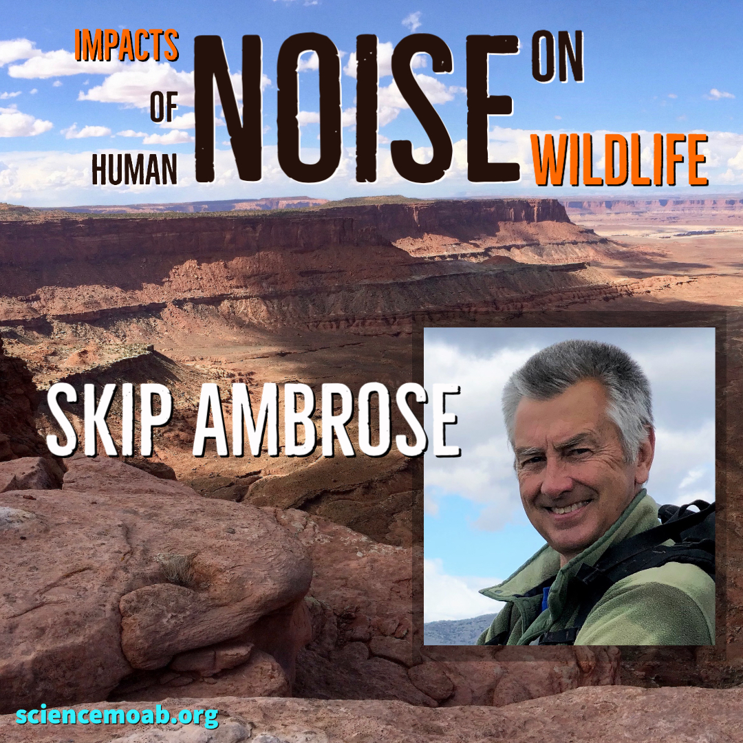 Impacts of Human Noise on Wildlife – SCIENCE MOAB