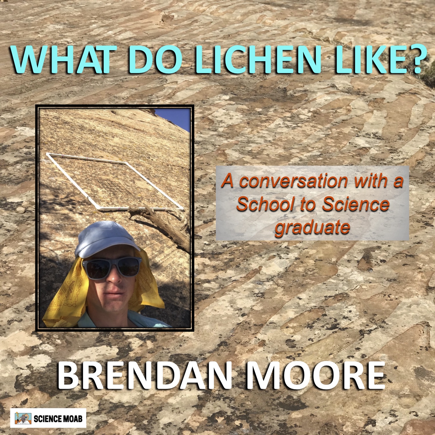 What do Lichen Like? – SCIENCE MOAB