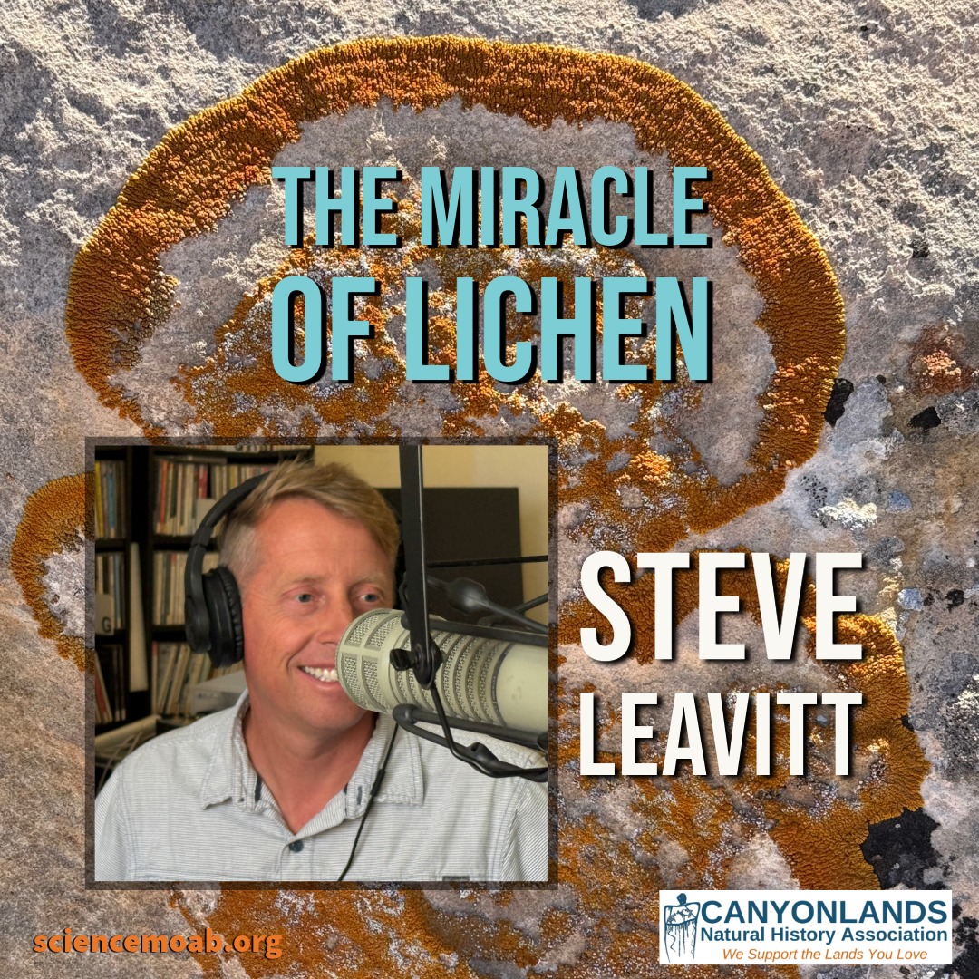 The Miracle of Lichen – SCIENCE MOAB